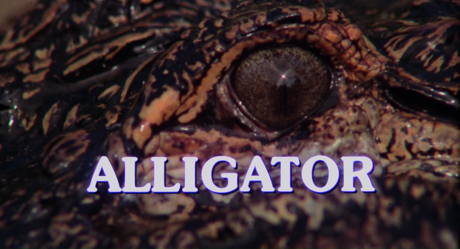ALLIGATOR de Lewis Teague (1980) – Loving movies